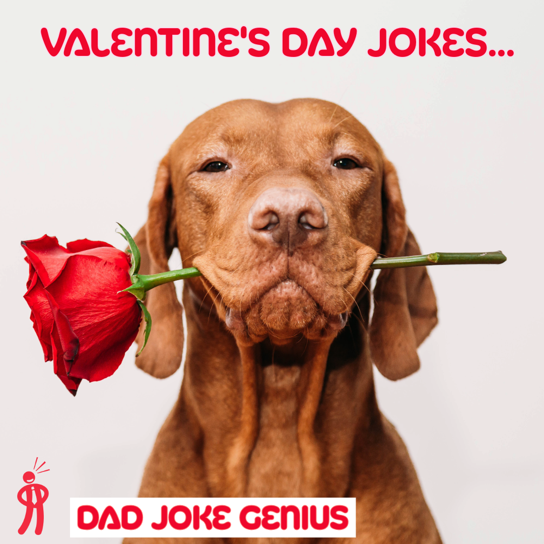 Valentine's Day Jokes - Dad Joke Genius